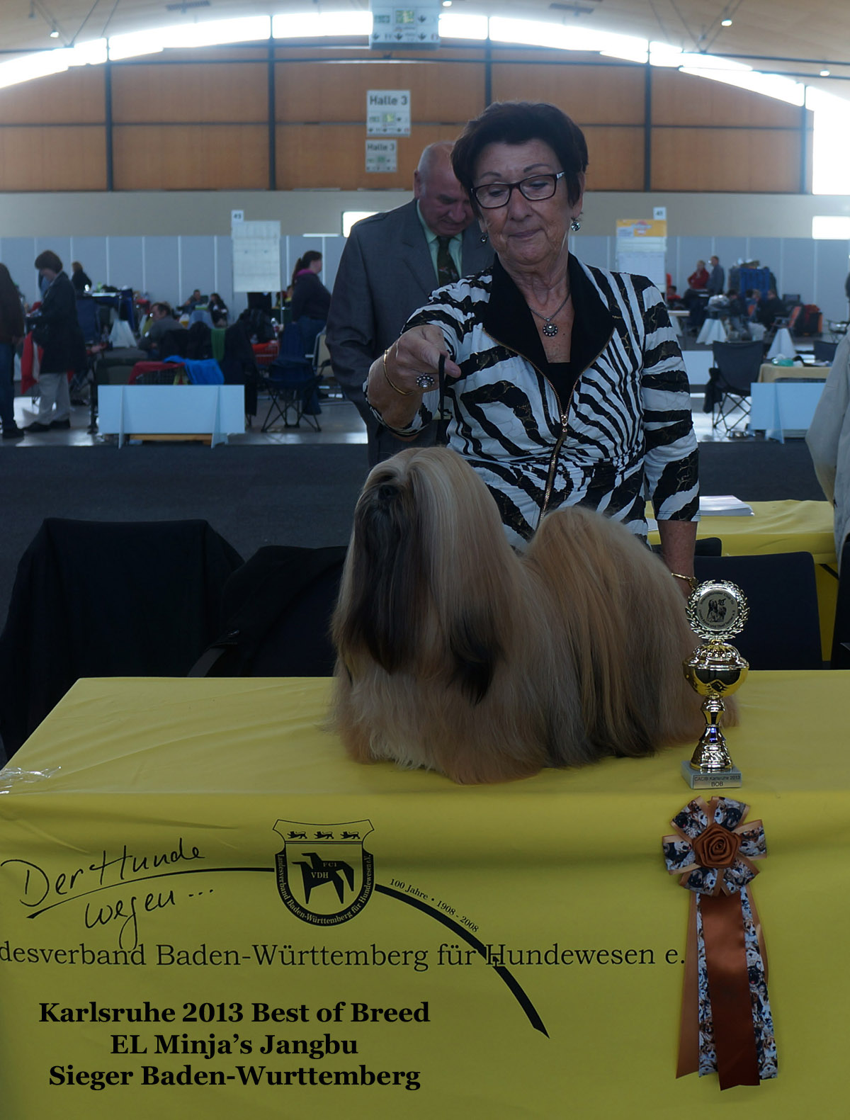 Jangbu - EL Minja's Lhasa Apso kennel